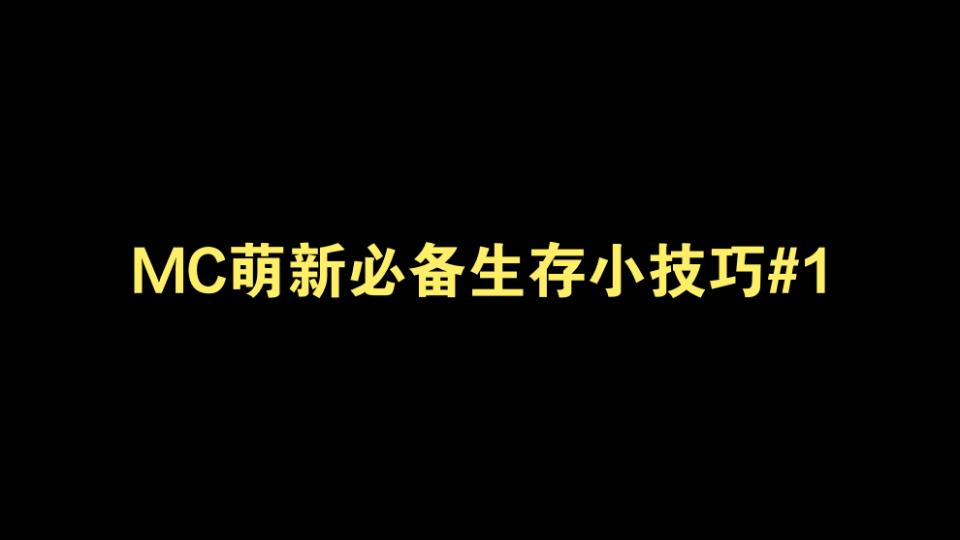 MC萌新必看!几种生存必备の小技巧#1