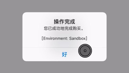 打卡助手审核专用啊