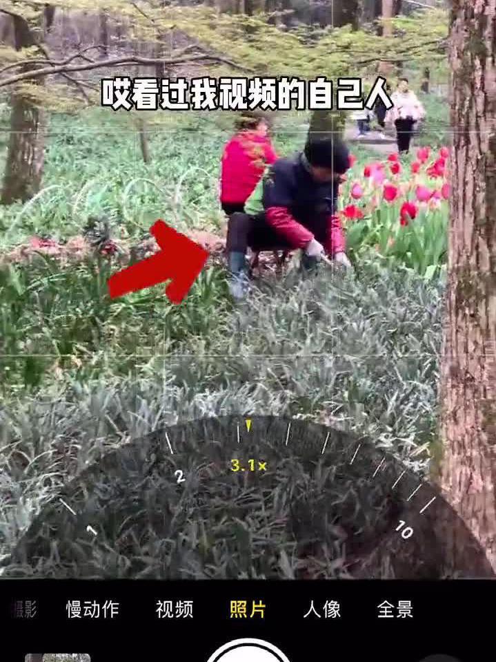 这个人整天不拍小姑娘就爱拍大姐大爷手机摄影教程...
