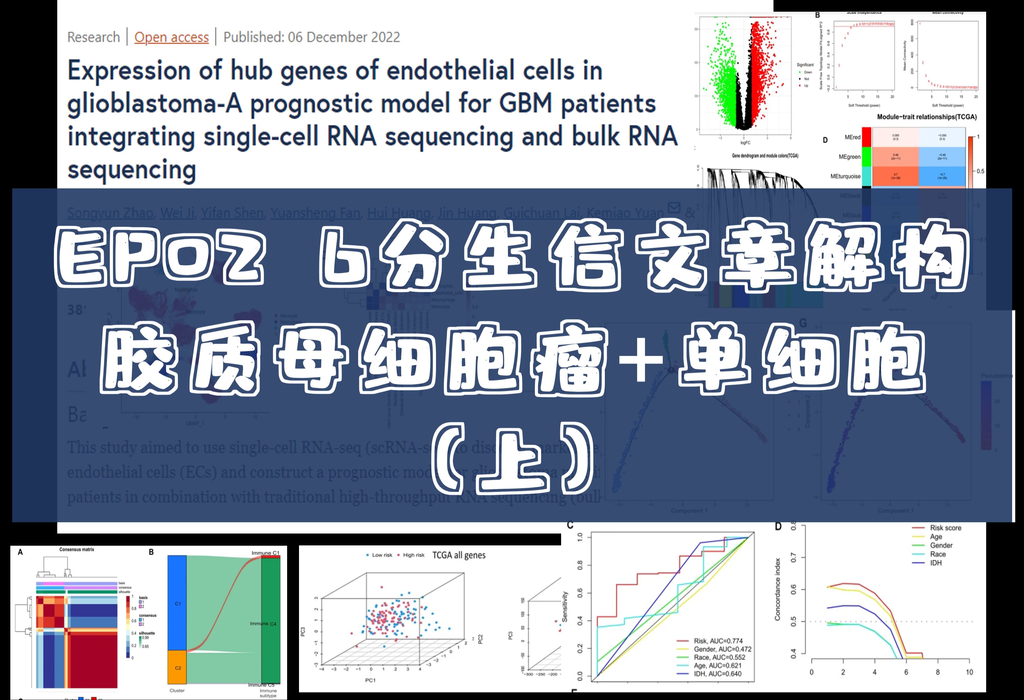 ...懂:单细胞联合bulkRNA——胶质瘤荟萃分析(上)|单细胞PCA/UMAP降维
