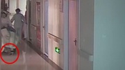 洛阳孕妇轮椅产子婴儿被拖行当事医生被开除