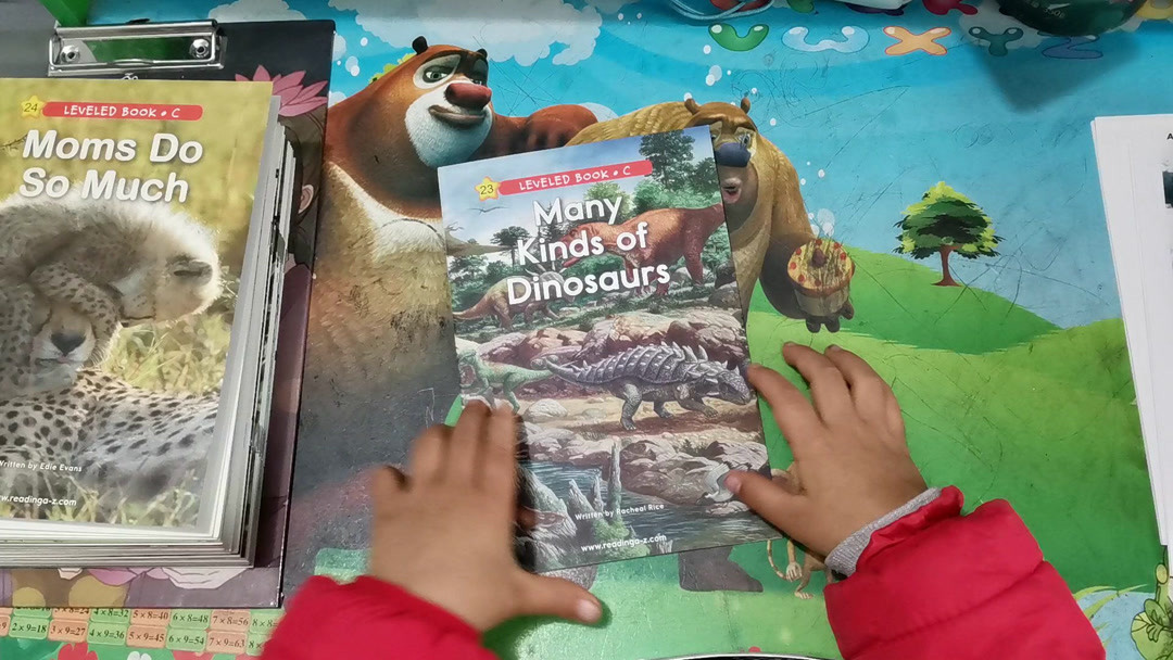 raz分级阅读每天打卡