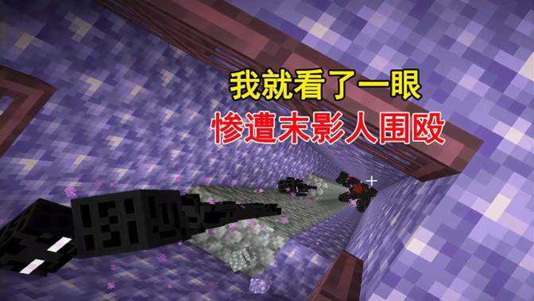 我的世界1.17联机25:只看了一眼就被末影人围殴,小黑塔竣工完成