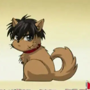 洞见大叔的逼逼叨叨 