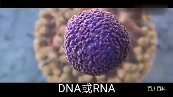 关于病毒的7个冷知识,电子显微镜下看病毒,样子太震撼了