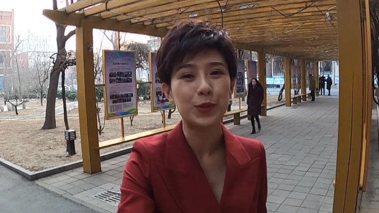 记者带您了解政协委员们的心声