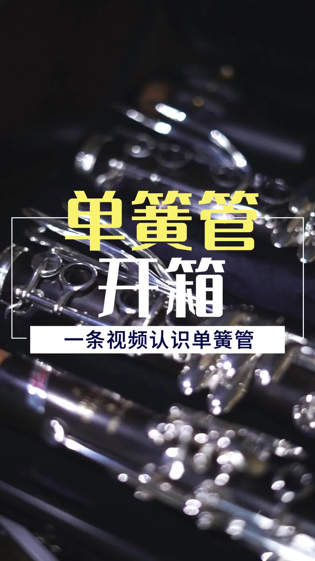 一条视频让你认识单簧管。 单簧管 乐器 乐器学习 知识分享