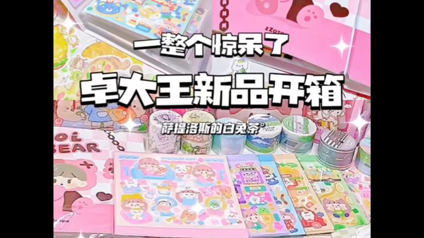 沉浸式开箱 卓大王这次的新品真的太绝了#手帐开箱#卓大王