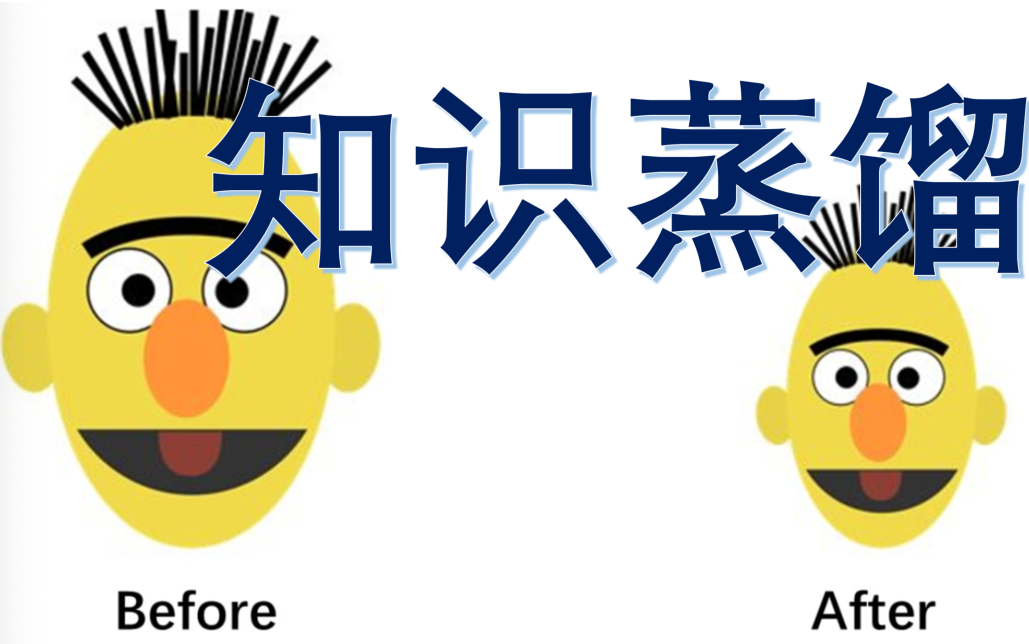 知识蒸馏与模型压缩(加速)技术 老必登~