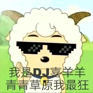 DJ-_-喜羊羊 