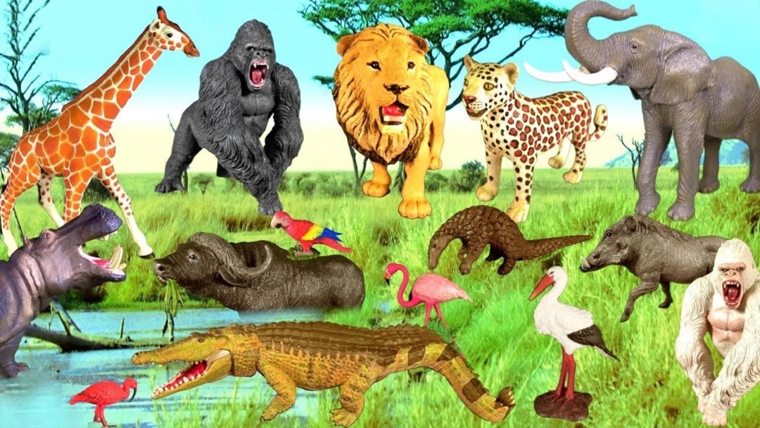 大猩猩、狮子和猎豹野生动物模型玩具展示