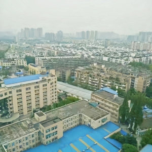 田野小亮 