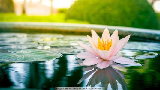 吃饭睡觉还要打豆豆 