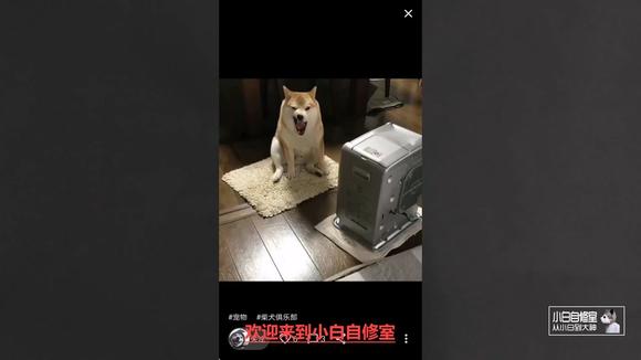 你还在为斗图没有表情包而烦恼吗?这款软件帮你制作最好的表情包