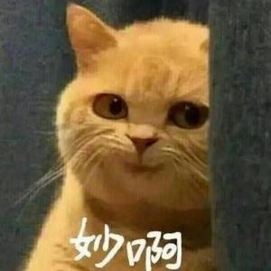 小轩看风景 