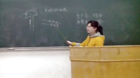 生态系统的组成