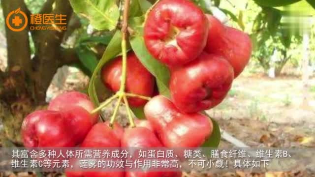 凉血止血的好水果,常吃还能防健忘、助消化!吃过的人都觉得好吃