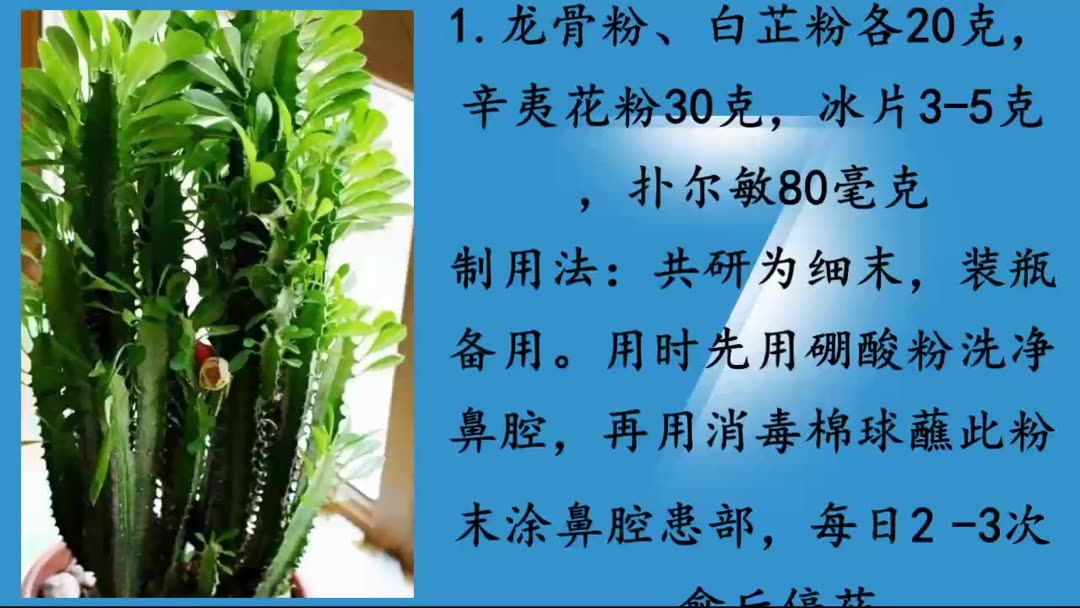 告诉你一个简单除过敏性鼻炎的方法 鼻炎流鼻涕吗