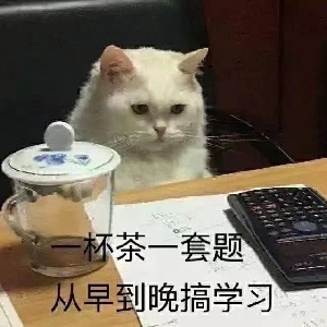 -无始大帝 