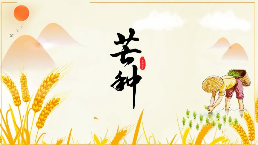 时小刻说节气丨芒种