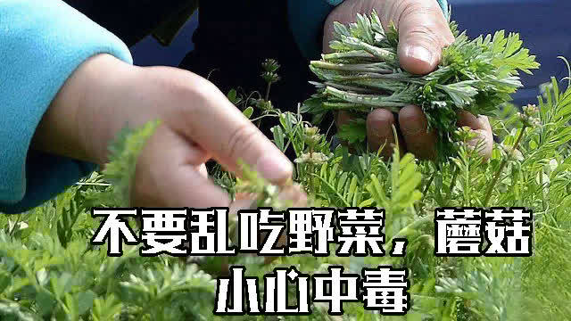 食物中毒急救办法,知道这三点,关键时刻不发慌