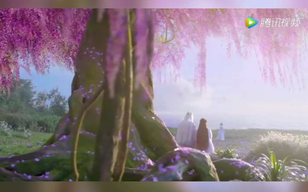 影视剪辑《三生三世枕上书》