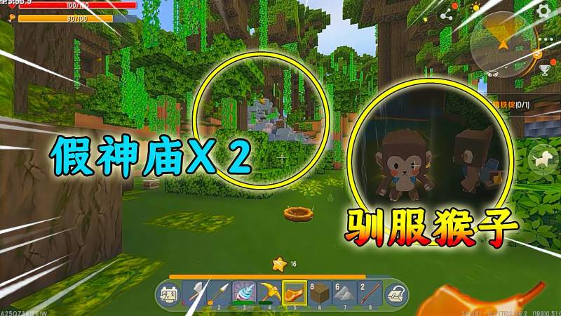 迷你世界:前往最新的雨林,居然发现两个假的神庙!