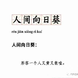 不吃山竹人是卓爷的猫 
