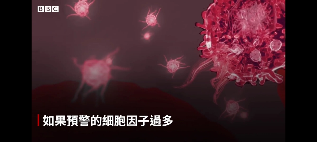 新冠病毒如何影响我们的身体?