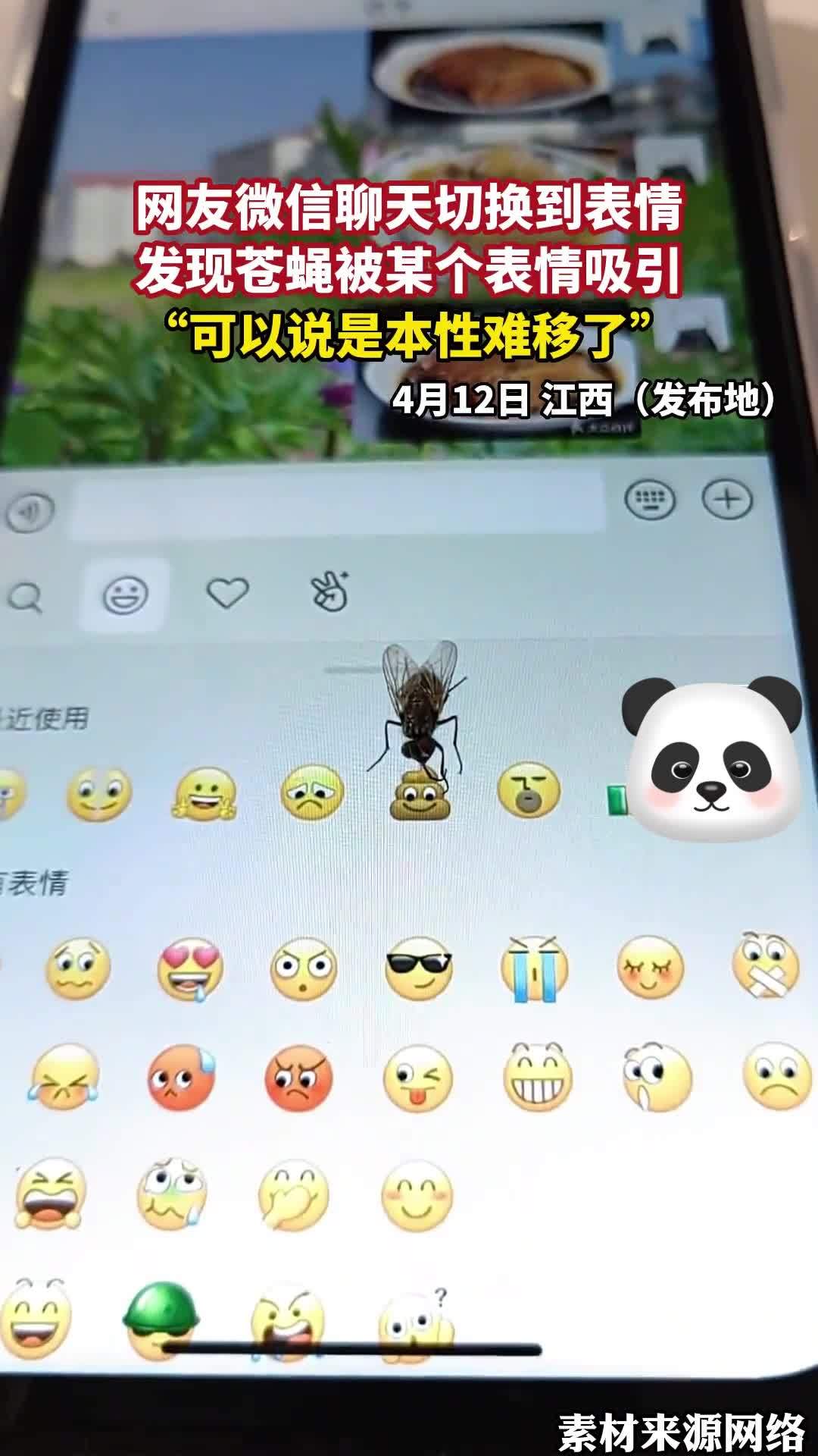 网友微信 聊天切换到表情,发现苍蝇 被某个表情吸引。