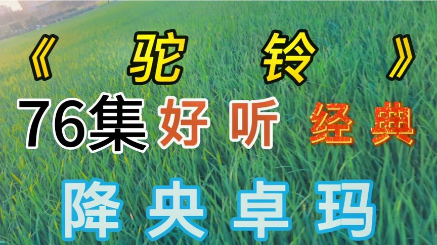76.一首降央卓玛送战友《驼铃》好听经典感人听到流泪