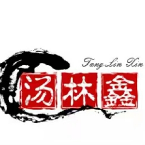 汤林鑫小店 