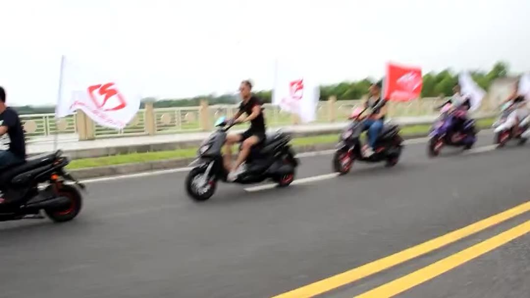 雅澜格尔 电摩 电动车 踏板车 电瓶车 酷车 城市铁男路虎