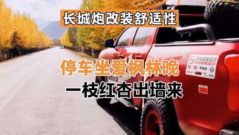 停车坐爱枫林晚,一枝红杏出墙来! 长城炮皮卡改装舒适性