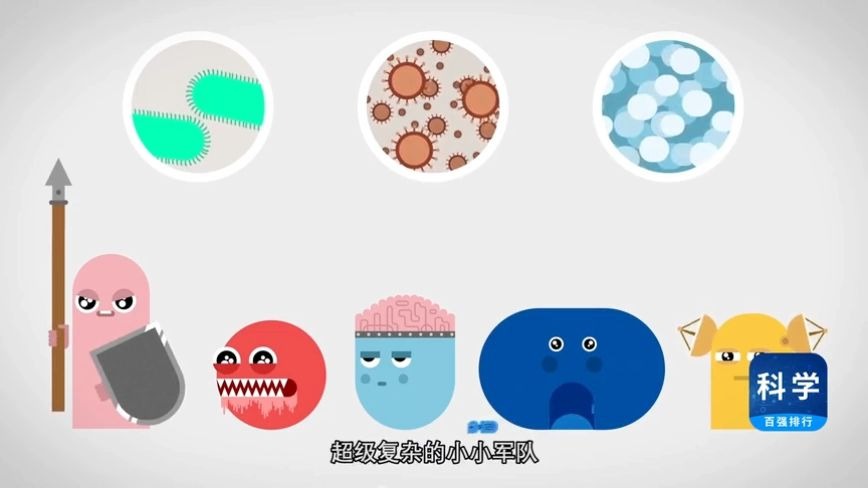 每天都会遭受数亿病毒细菌攻击,如果没有免疫系统人类早就灭绝了