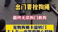 宠物卡旋转门,拆门救狗。