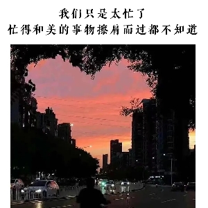 胶己人蔡氏 