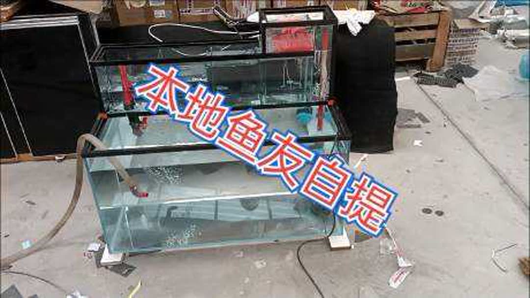 本地鱼友自提100times;50上滤缸,正在试水运行消毒中