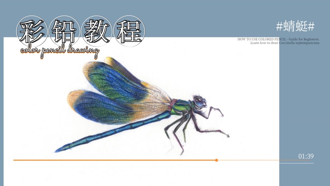 【彩铅教程】蜻蜓的画法丨彩铅小技巧压痕笔的妙用