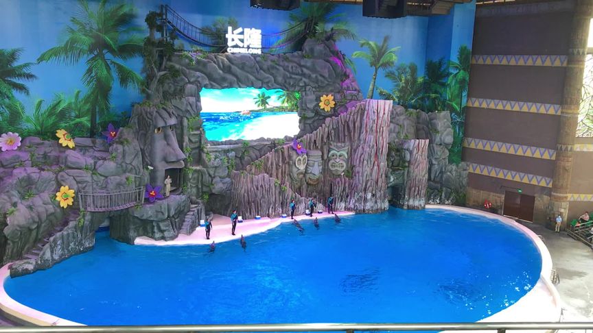 #海洋世界 #海豚ߐ� 海豚表演
