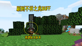 我的世界极限生存46:001干掉巡逻队大队长,刷到不祥之兆BUFF