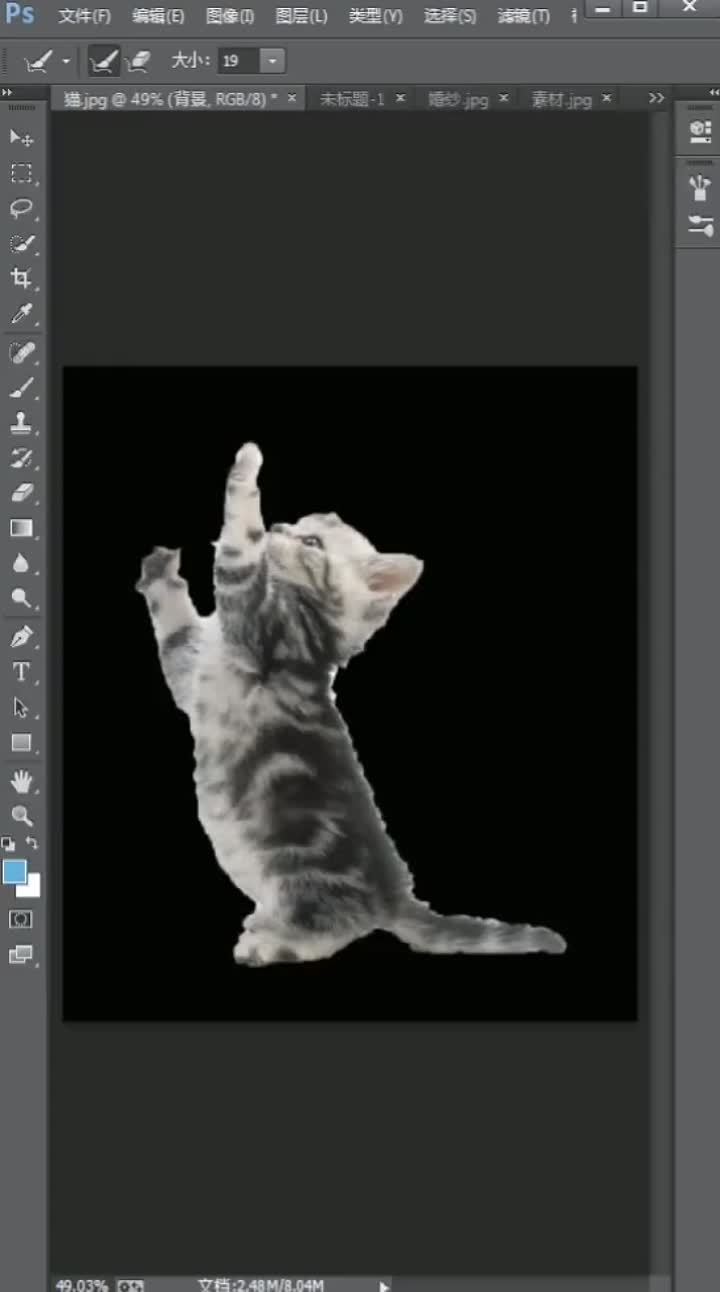 #ps 扣毛发#ps技能 #学好ps