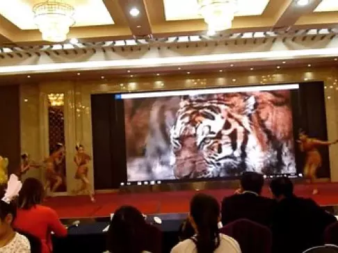 海盐舞之源2017迎新晚会---森林舞会