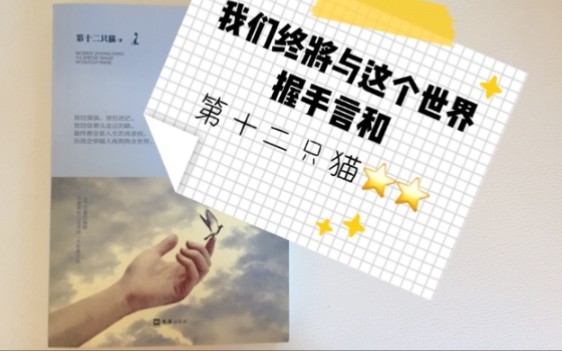 《我们终将与这个世界握手言和》第十二只猫