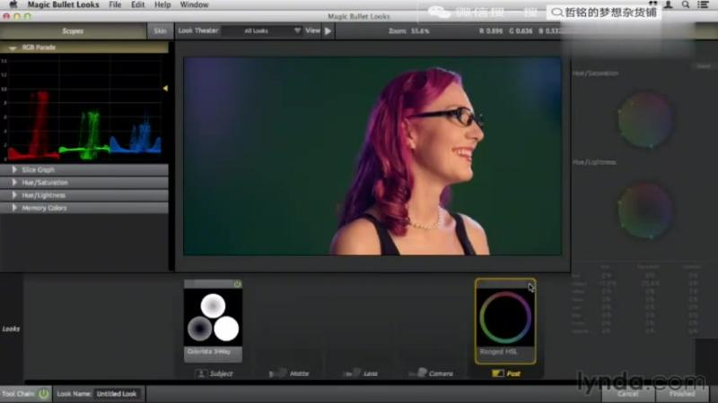 红巨星高端插件套装Magic Bullet Suite 教程4.使用looks的案例2