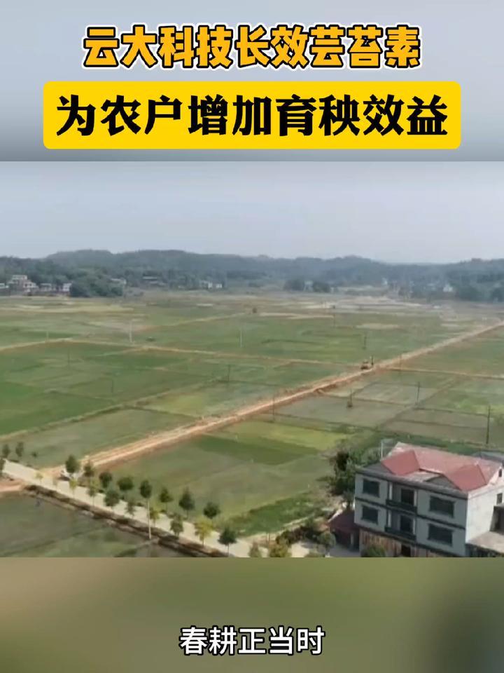 长效芸苔素等生物能技术 助力农业核心技术攻关#芸苔素#长效芸苔素#...