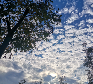 合肥艾荻尔斯智能科技有限公司 