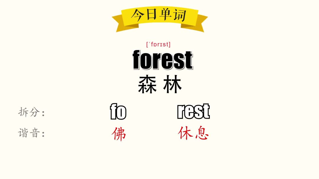 《超级记忆法》30秒记住单词 forest森林