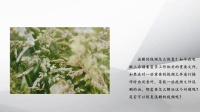 误删的视频怎么恢复?用互盾数据恢复软件