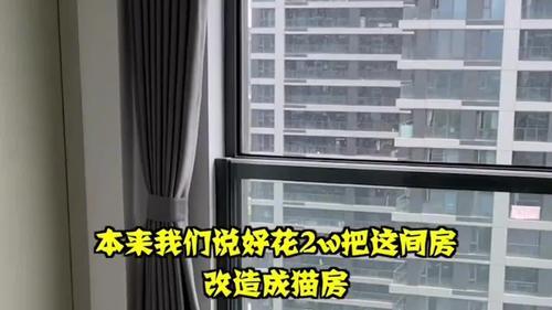 花2w打造的猫房啥样?这简直就是公主房啊!连我都想当只猫!